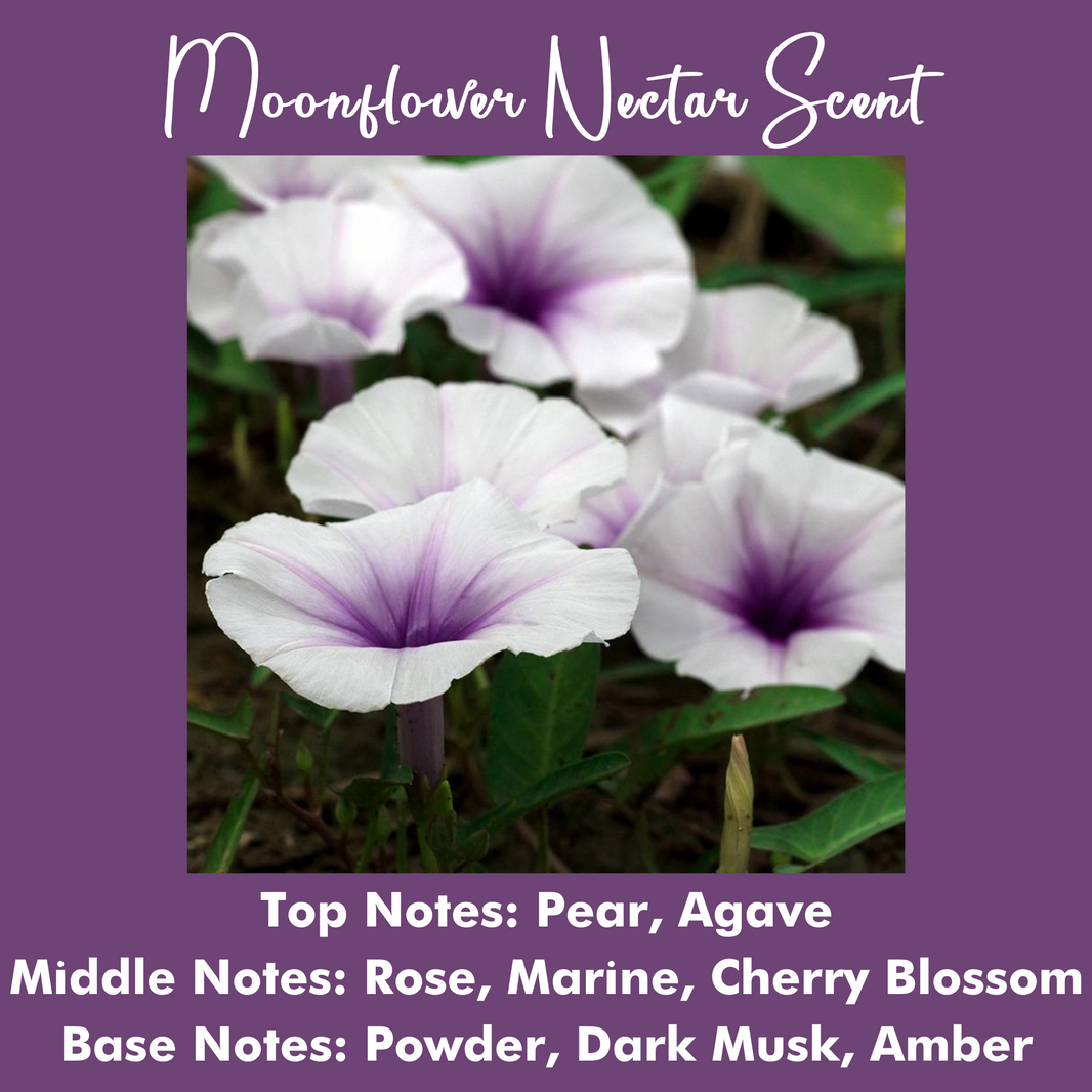 Pure Beeswax Melts for Wax Warmers – Wild Harvest Candle Company LLC